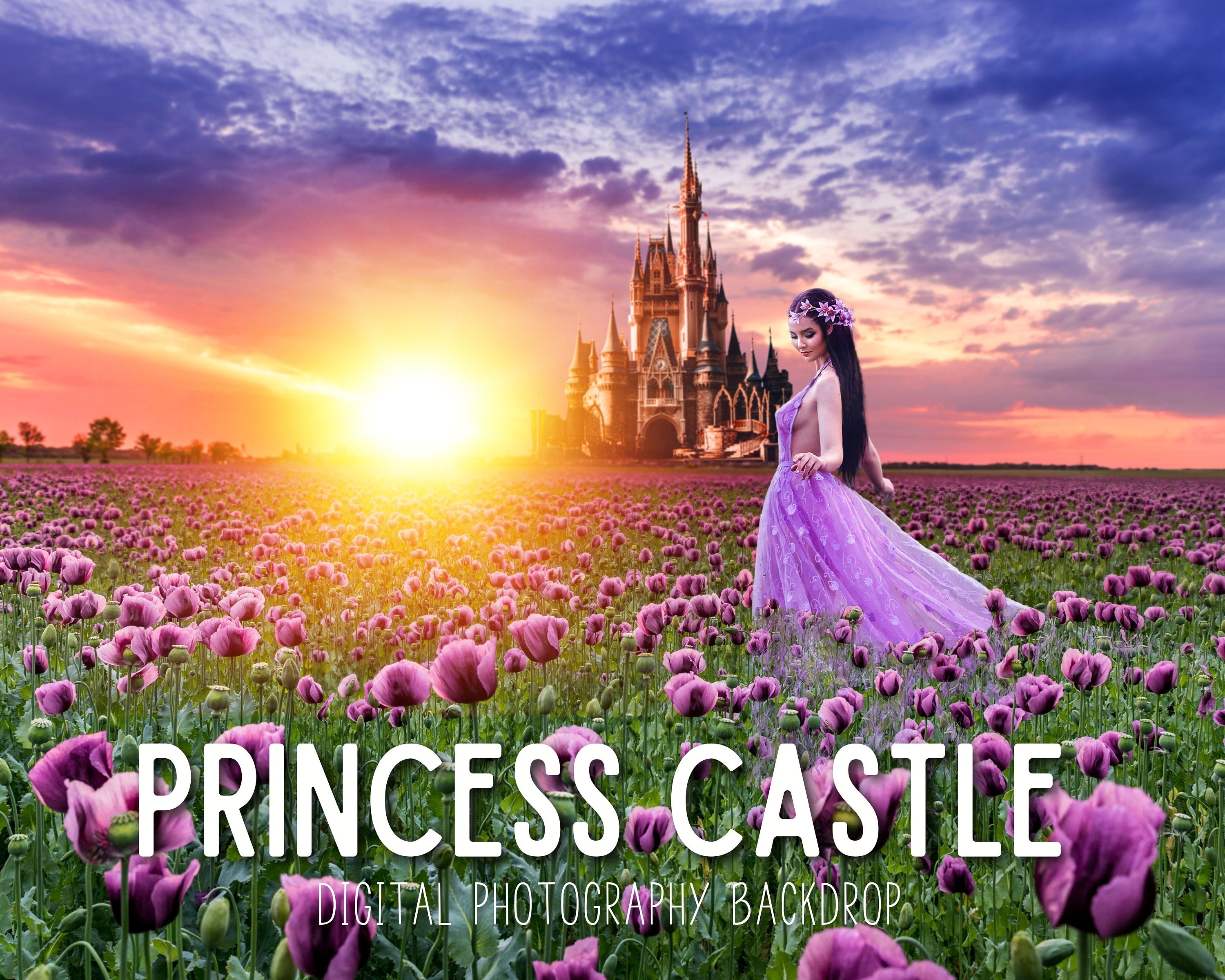 Princess Castle Digital Backdrop Fantasy Backdrop Digital - Etsy