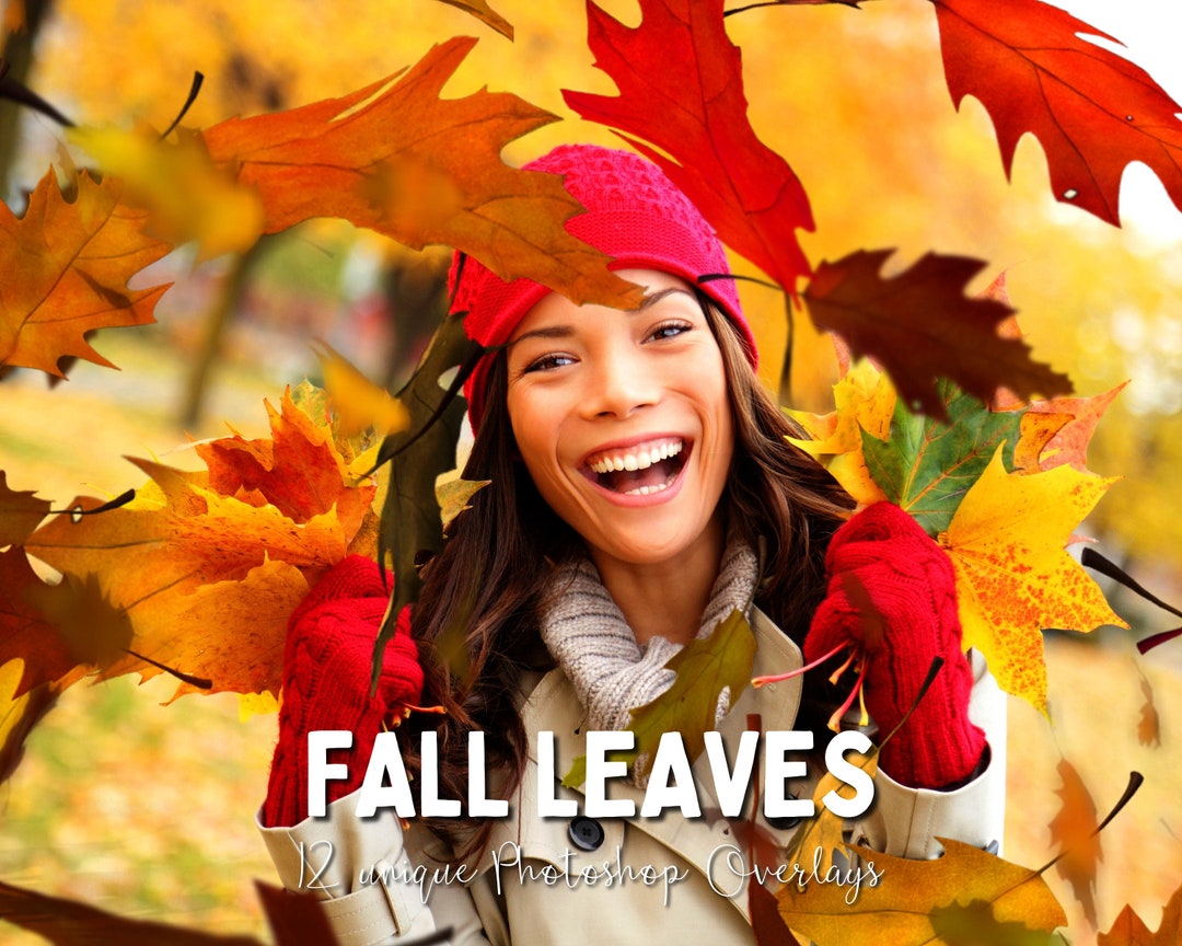 Fall Overlay Photoshop, Fall Leaves Overlays, Falling Leaf Overlay ...