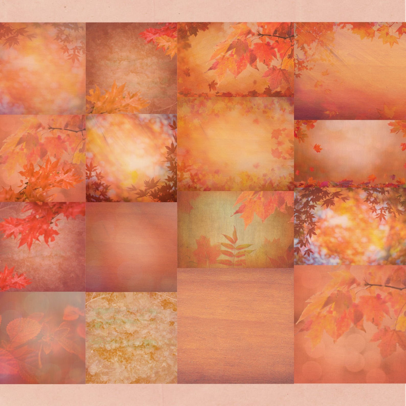 Fall Overlay Photoshop Fall Overlays Fall Leaves Overlay - Etsy