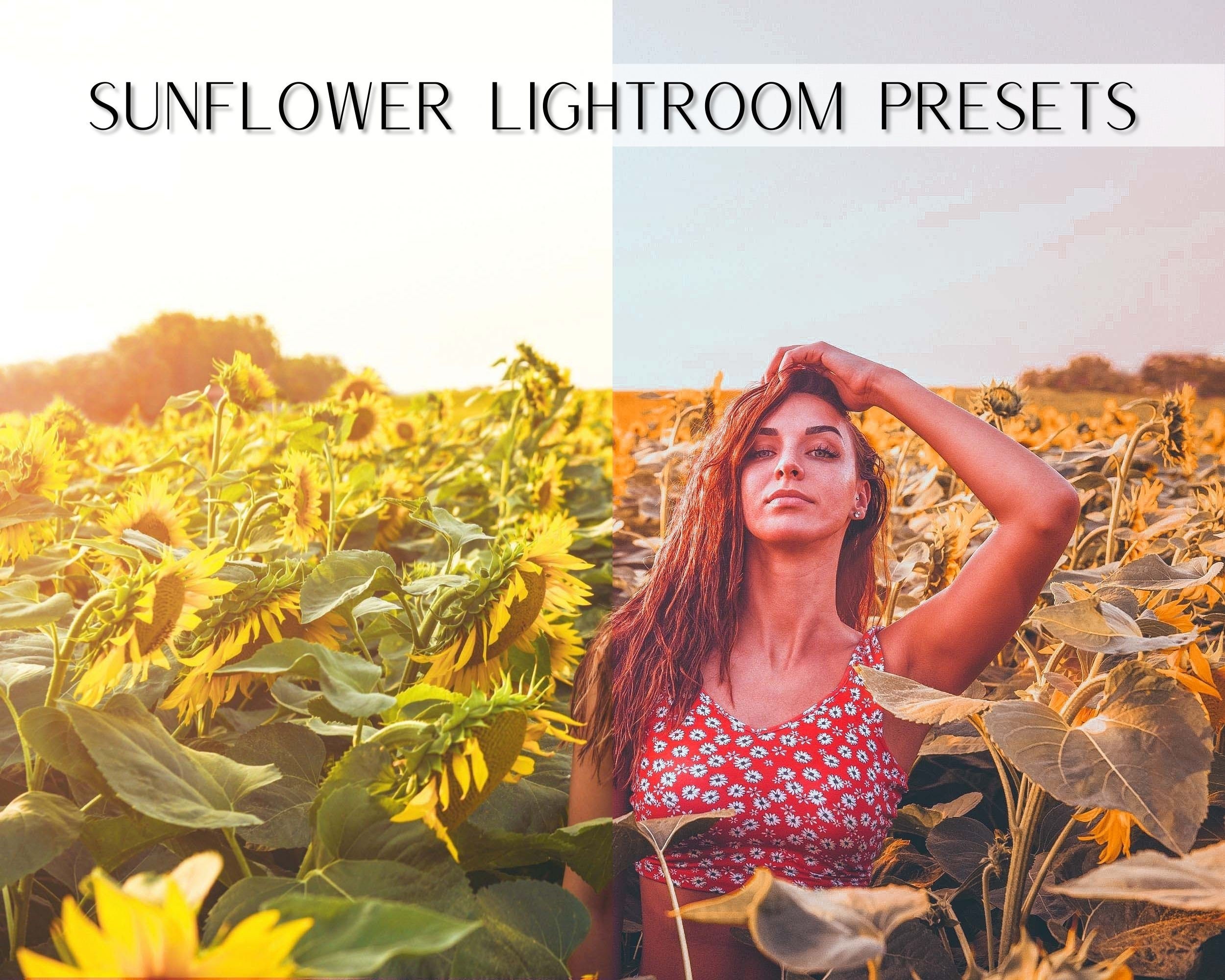 Sunflower Preset Bright Presets Photo Editing Lightroom CC Presets ...