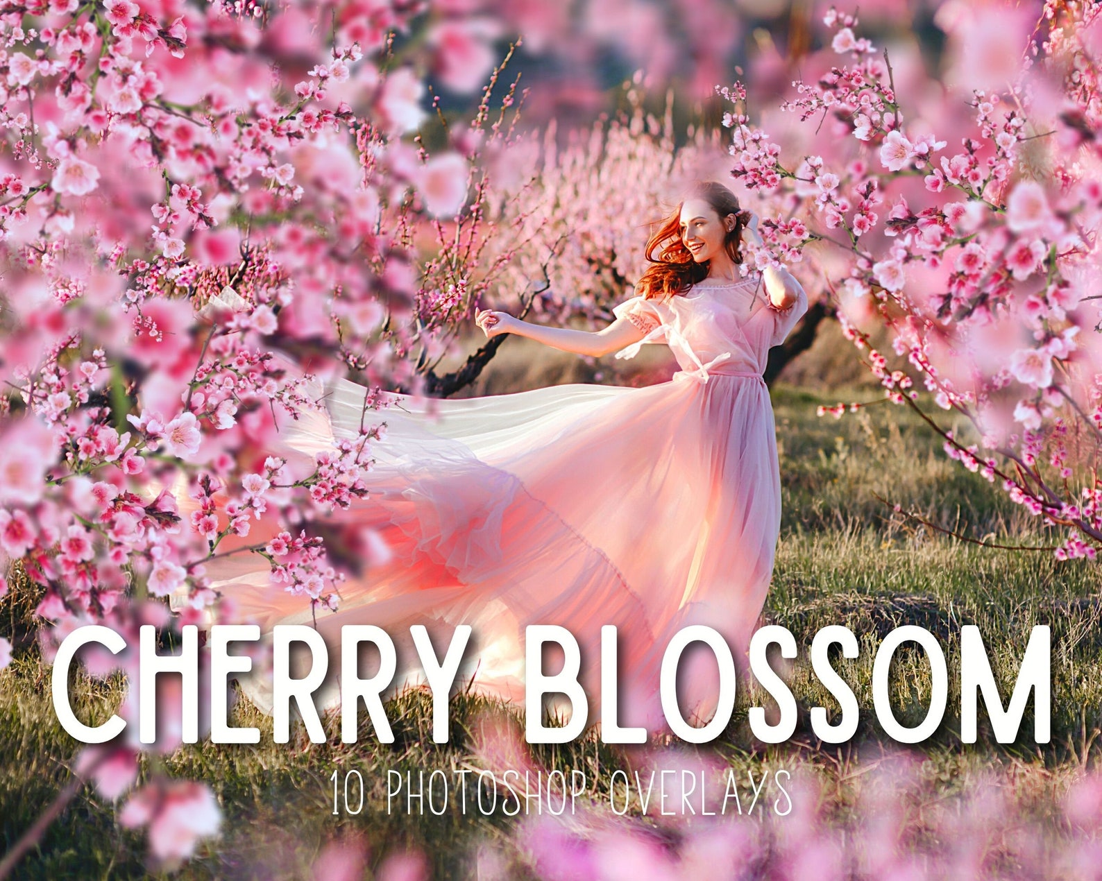 Cherry Blossom Flowers Overlay for Photoshop, Spring Photoshop ...