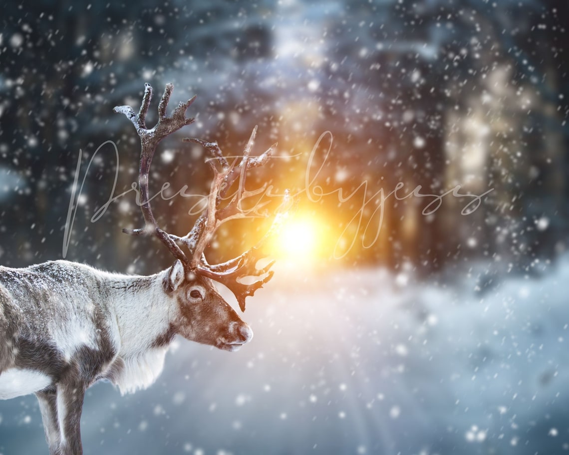 Reindeer Digital Backdrop Winter Digital Backdrop Reindeer - Etsy
