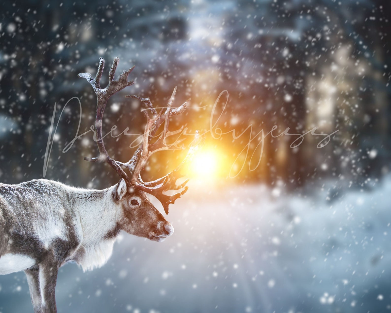 Reindeer Digital Backdrop Winter Digital Backdrop Reindeer - Etsy