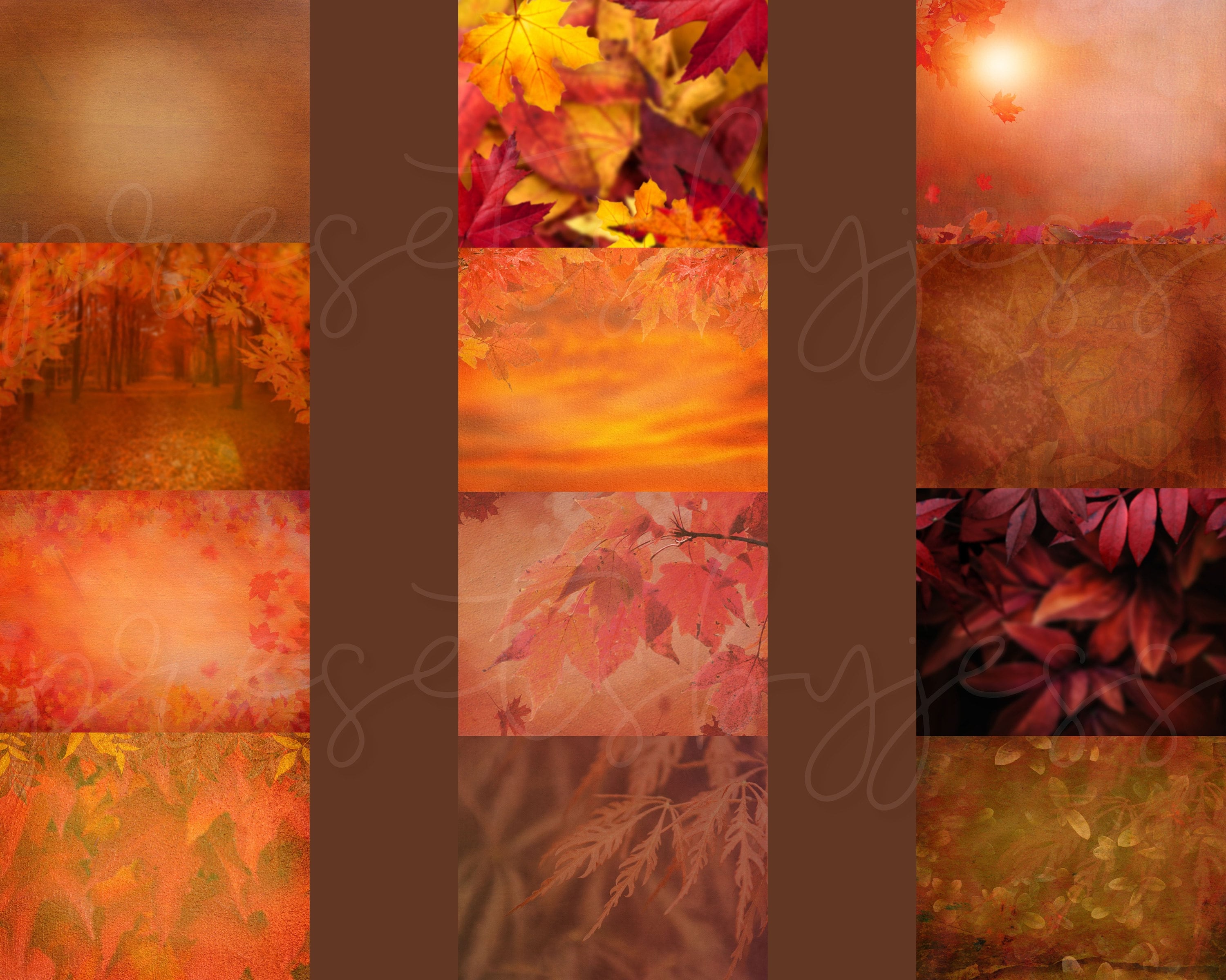Free Autumn Textures Mroverlay Photoshop Overlays Photo Images