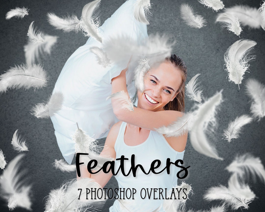 Falling Feathers Overlay Bundle, Feather Overlay, Black Feathers ...