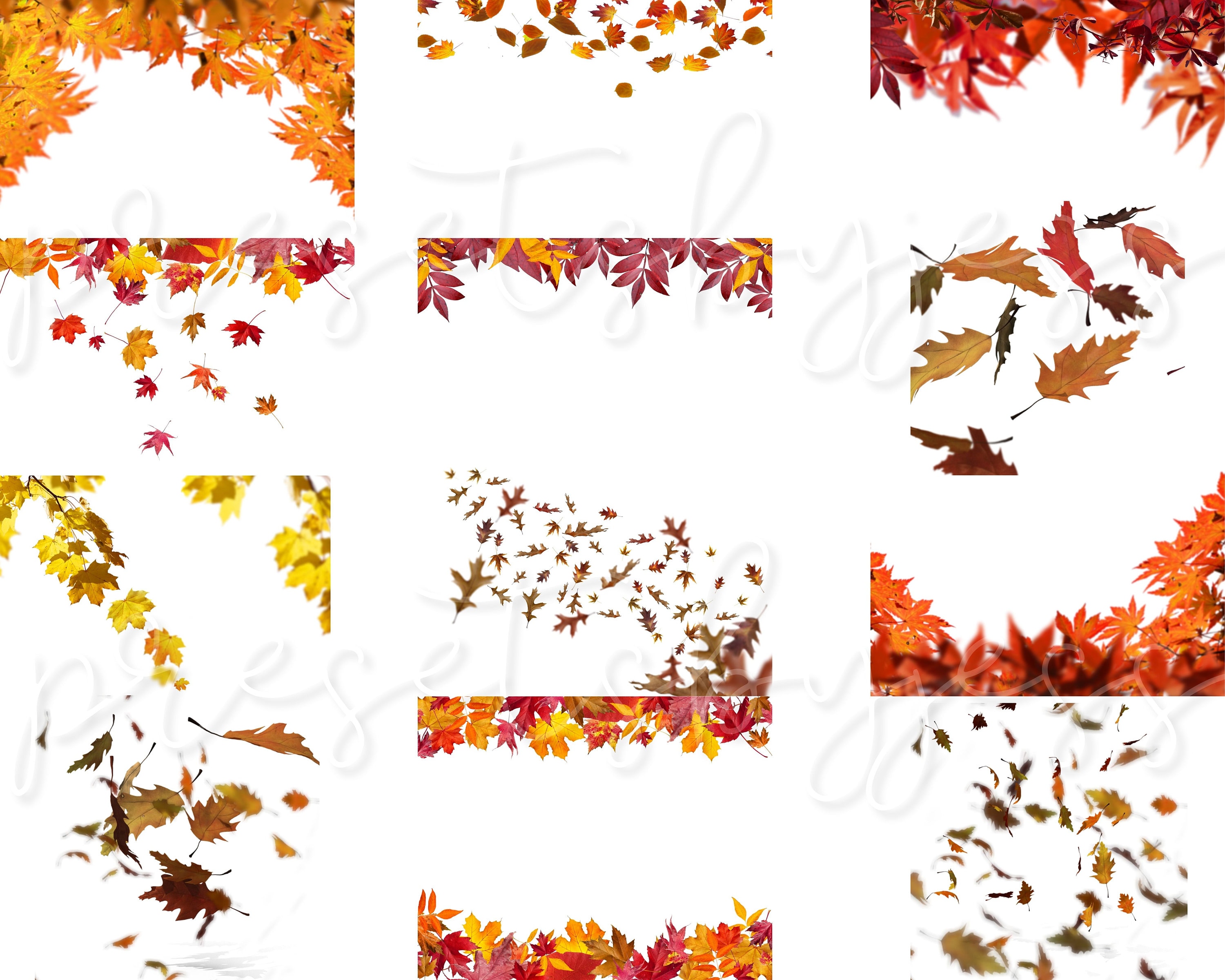 Fall Overlay Photoshop Fall Leaves Overlays Falling Leaf | Etsy