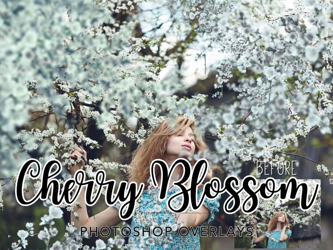 Cherry Blossom Flowers Overlay for Photoshop, Spring Photoshop ...