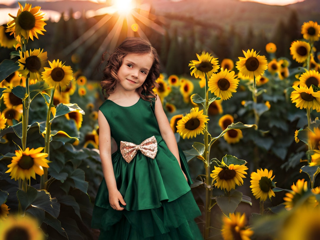 Sunflower Digital Backdrop for PS and PSE, Photoshop Sunflower Digital ...