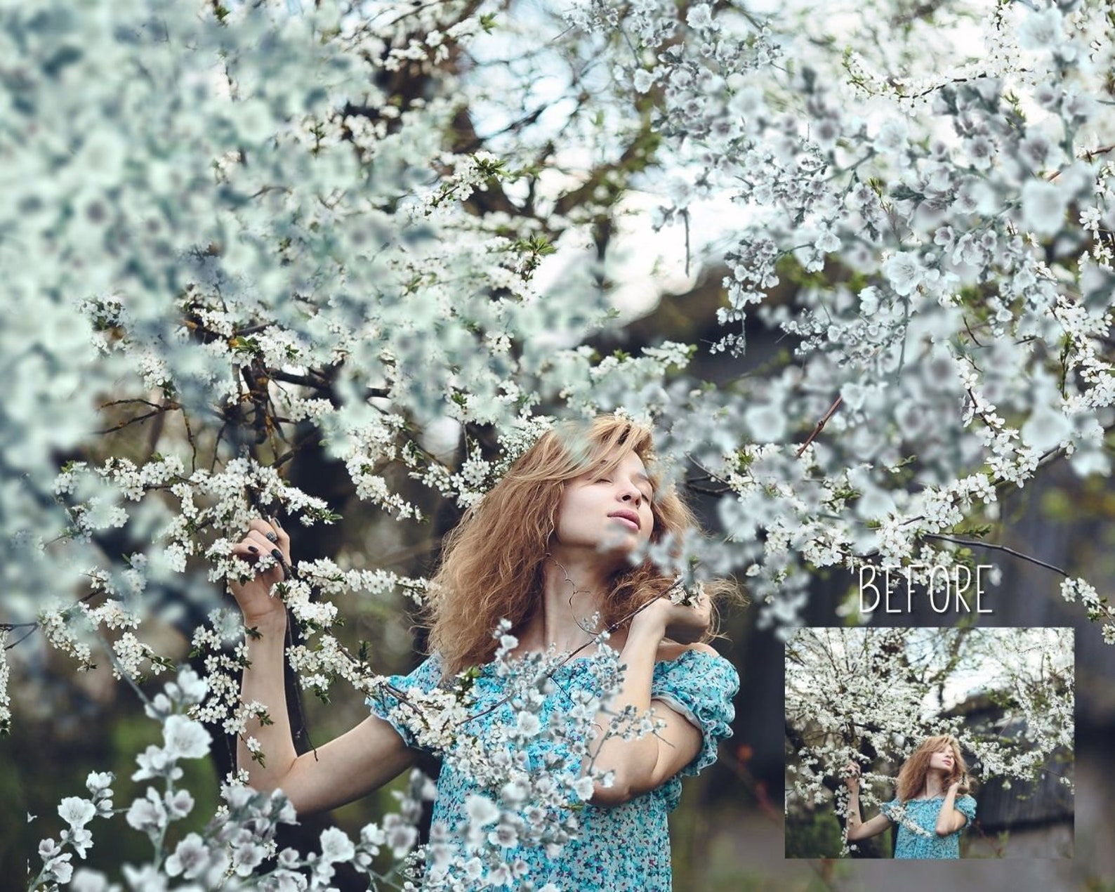 Cherry Blossom Flowers Overlay for Photoshop Spring | Etsy