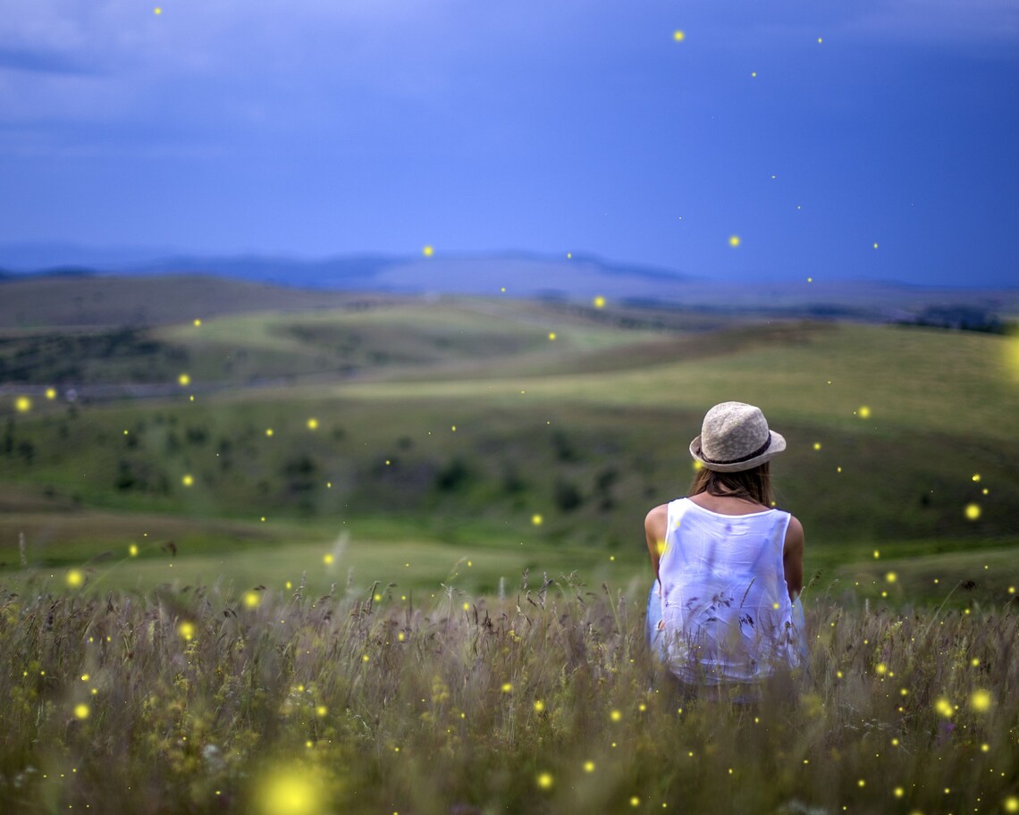 Firefly Overlays, Adobe Photoshop Overlays, Fire Fly Light Overlay ...