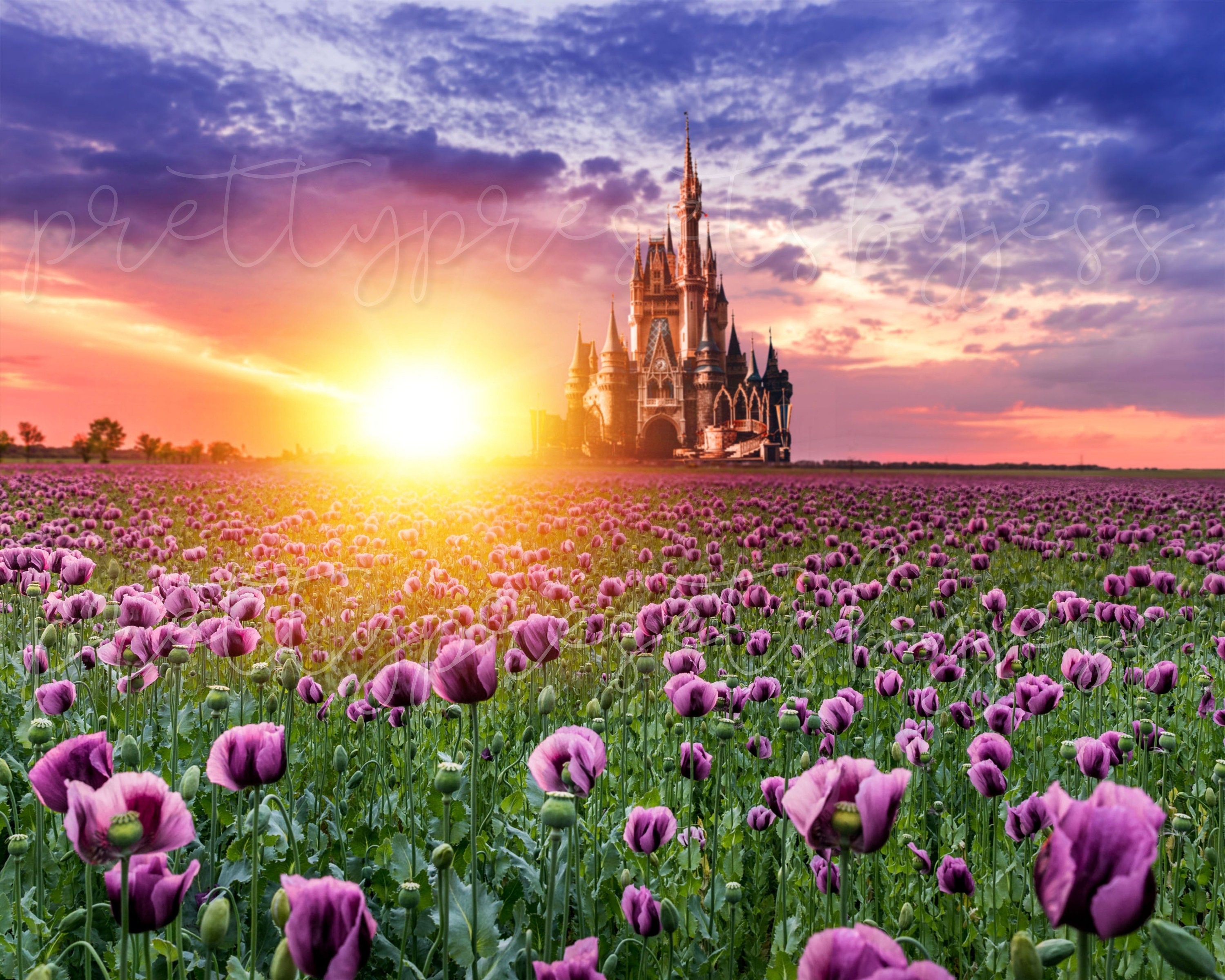 Princess Castle Digital Backdrop Fantasy Backdrop Digital - Etsy