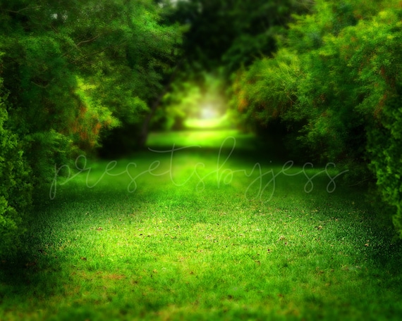 Digital Branches Forest Green Bokeh Green Woodland Digital Backdrop ...