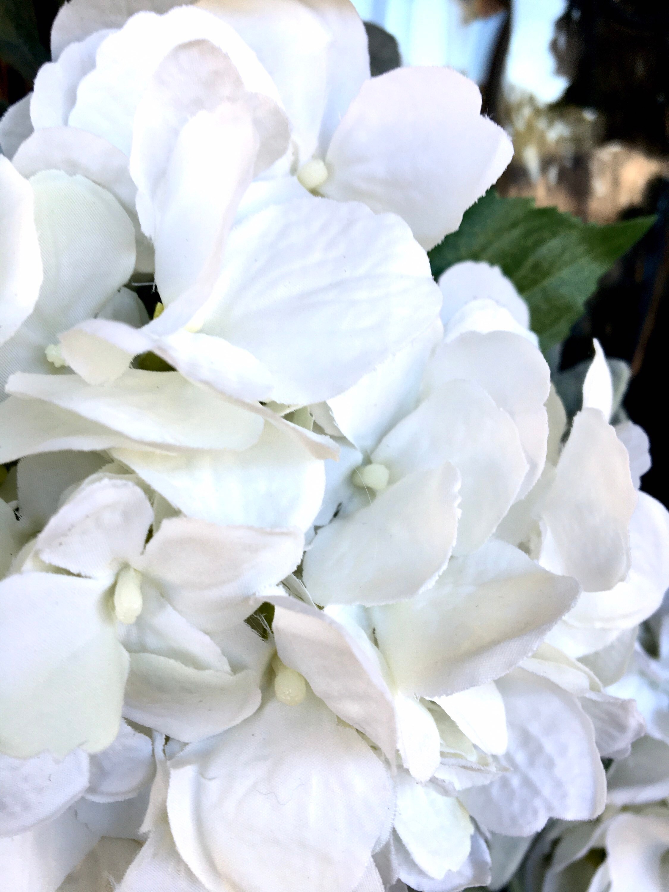 Extra Large Elegant White Wreaths for Double Doors, Country White ...