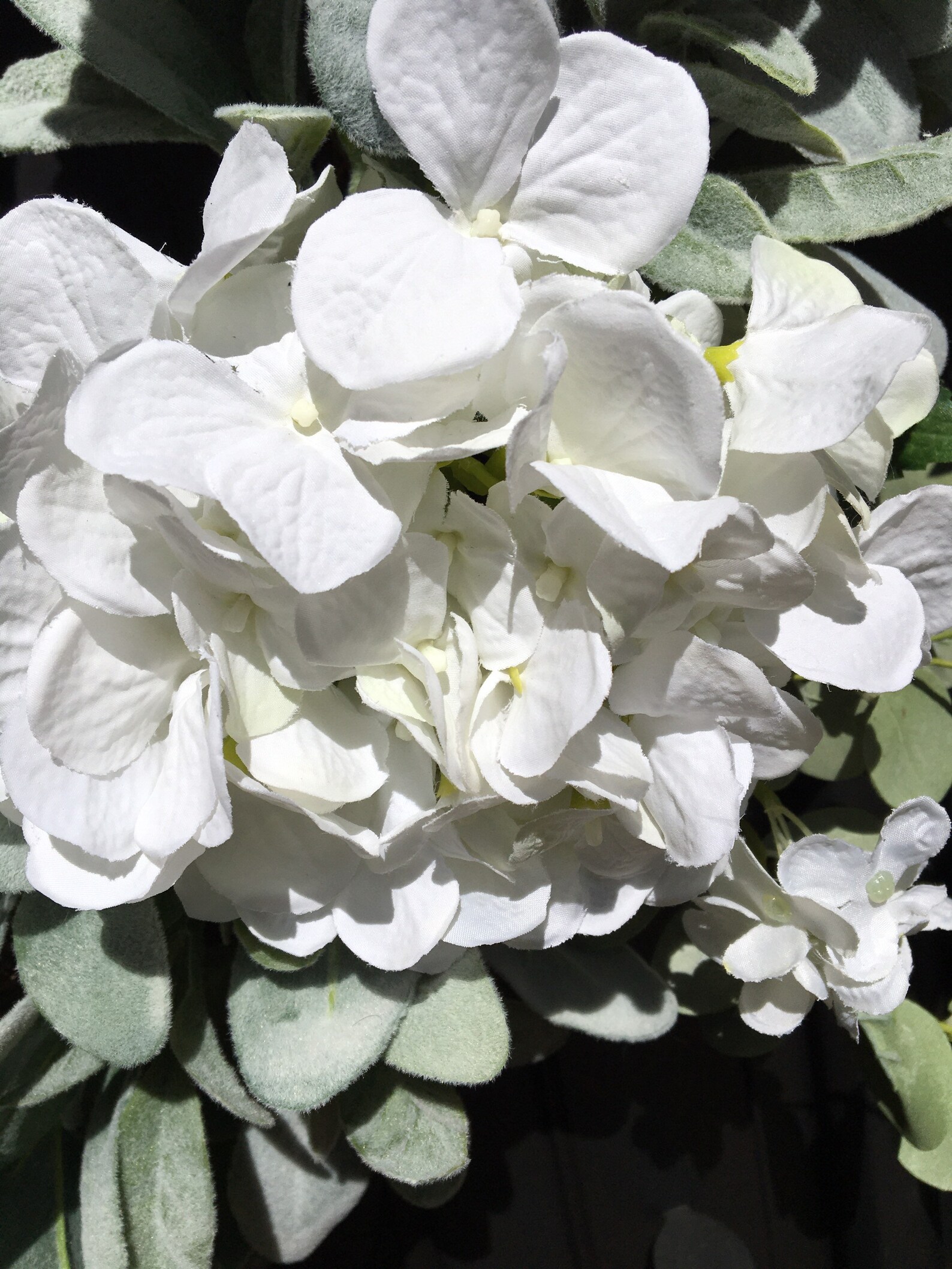 Extra Large Elegant White Wreaths for Double Doors, Country White ...