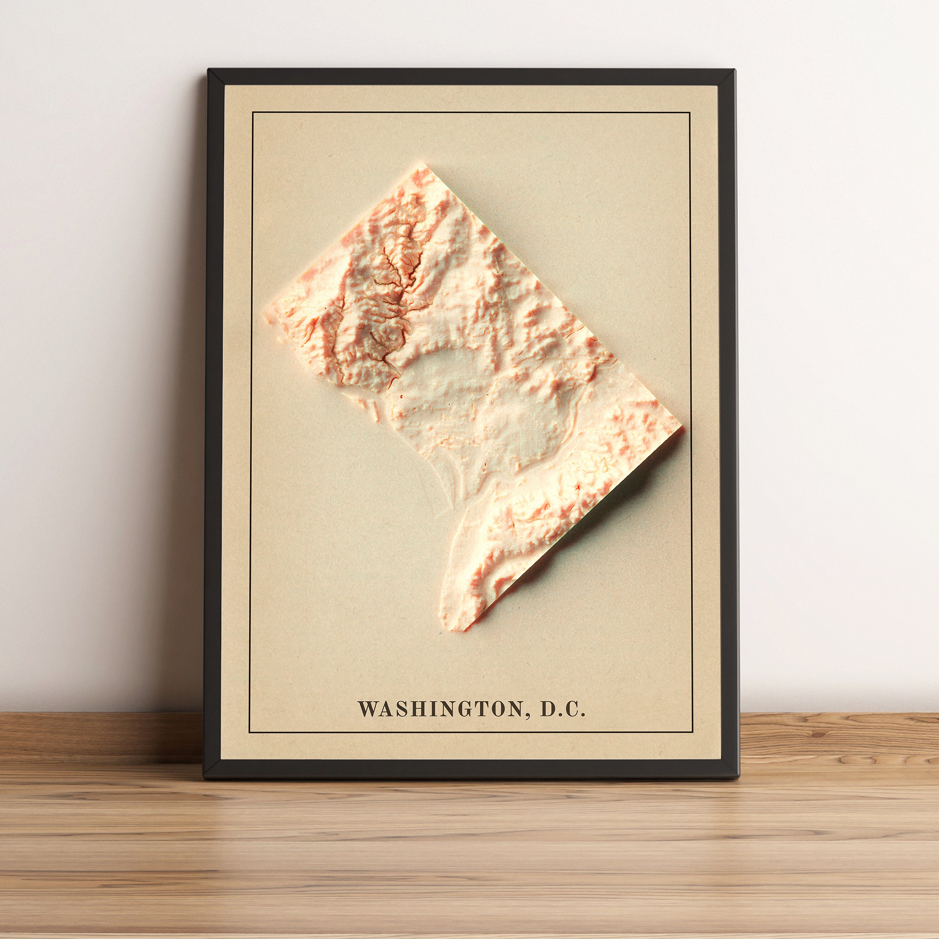 Washington D.C. Map set With Two Maps, Washington Relief Map ...