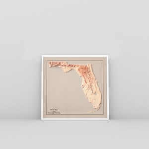 Florida Minimalist Relief Map | Florida Wall Art | Florida Framed Print ...