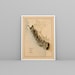 Peru Map (1850-1900), Peru Relief Map, Peru Wall Decor, Peru Vintage ...