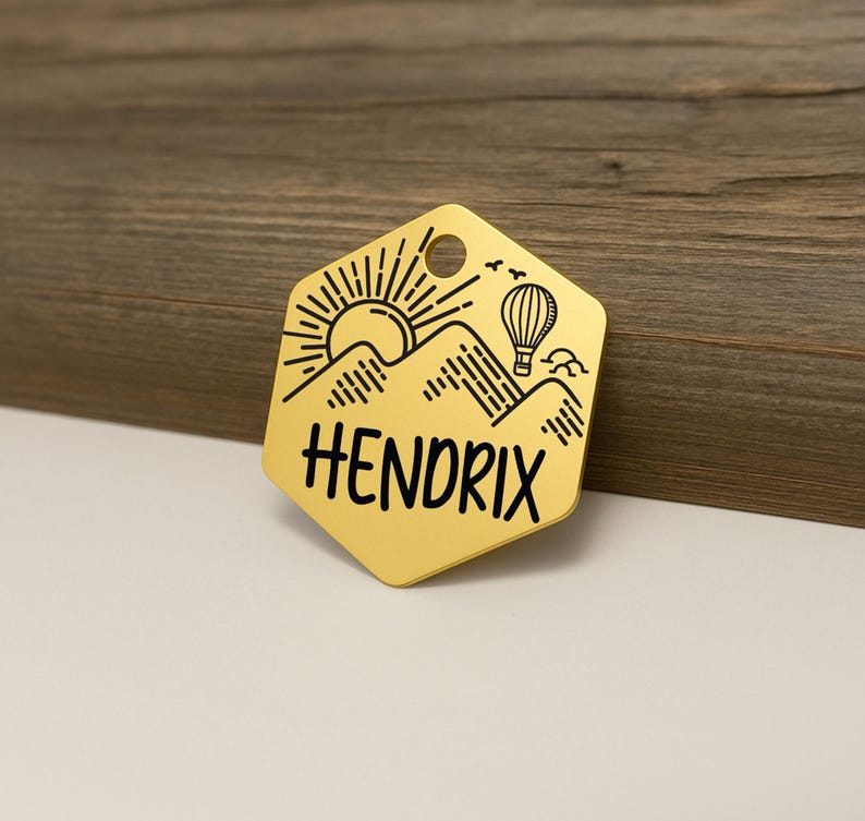 Hot Air Balloon Pet ID Tag: Engraved Stainless Steel Dog & Cat Tag - Etsy