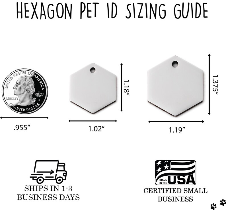 Hot Air Balloon Pet ID Tag: Engraved Stainless Steel Dog & Cat Tag - Etsy