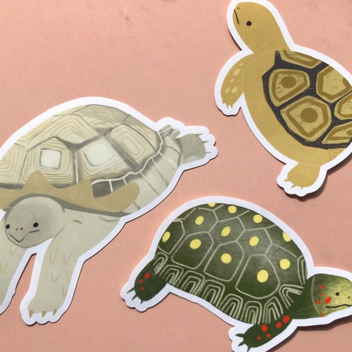Tortoise Sticker - Etsy