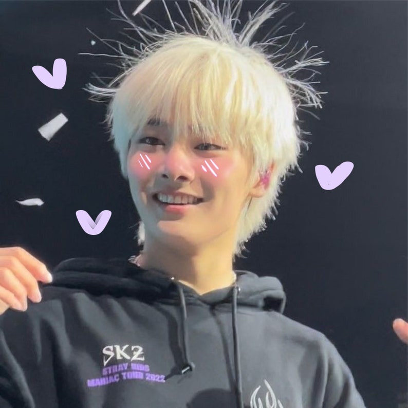 Stray Kids I.N Square Stickers - Etsy