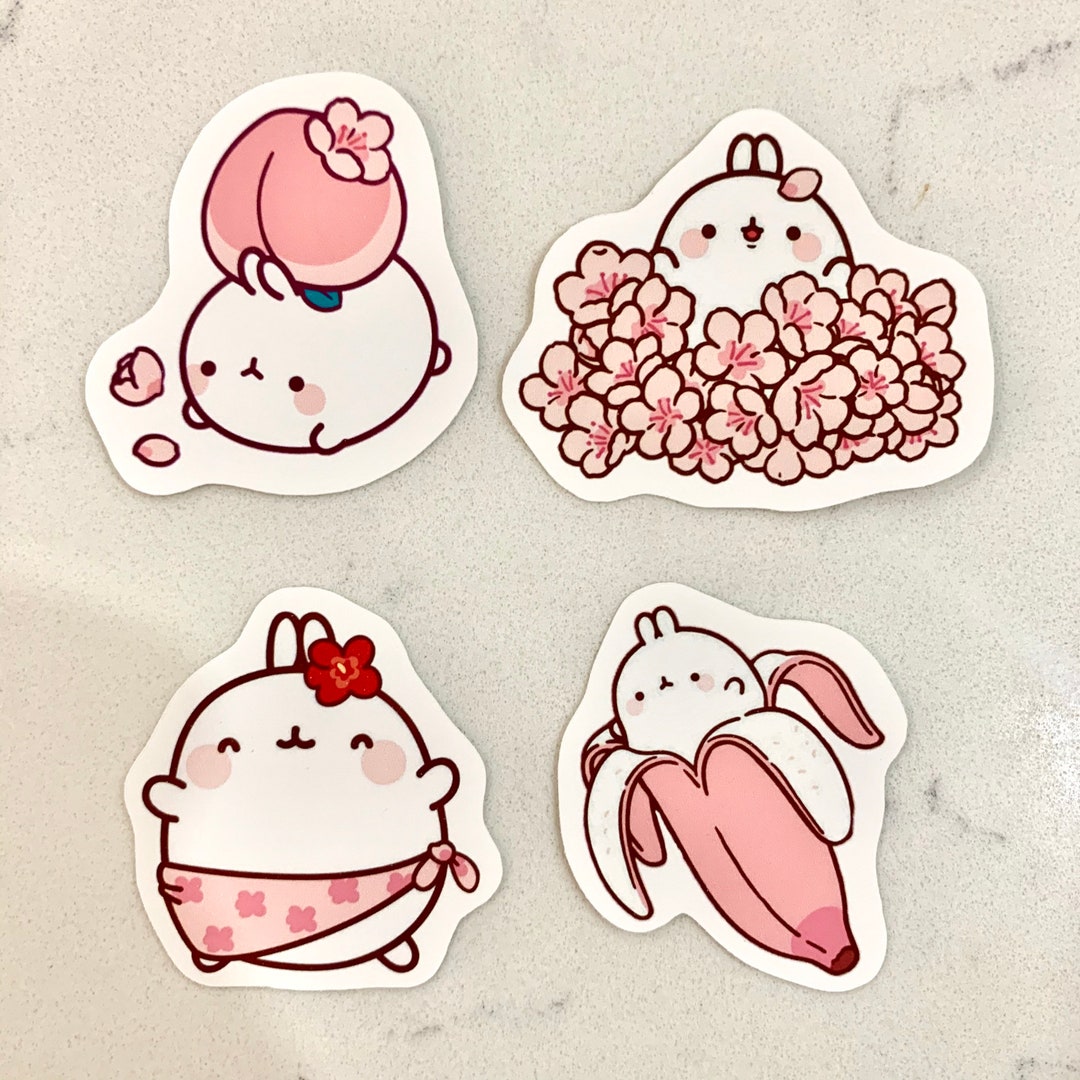 Cute Pink Theme Molang Stickers, Flower Molang, Peach Molang, Banana ...