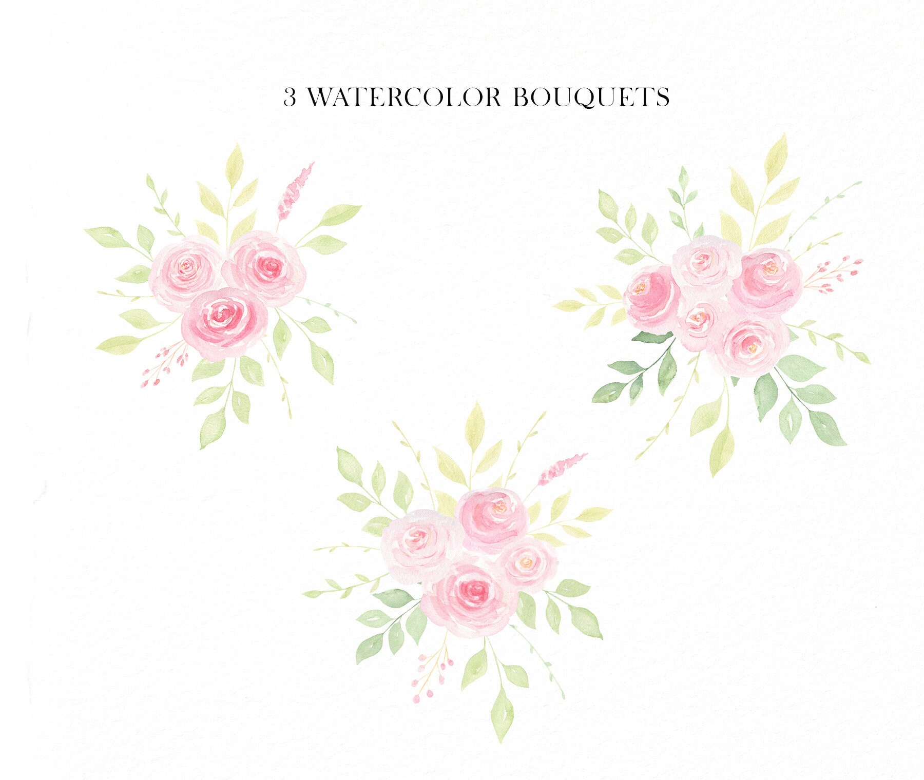 Pink Blush Roses Watercolor Floral Clipart Watercolor Wedding - Etsy