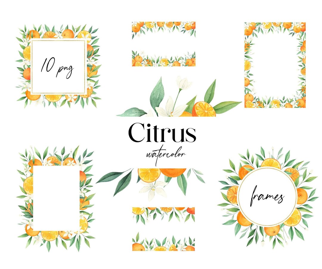 Watercolor Citrus Frames Png, Orange Clipart, Summer Citrus Clipart ...
