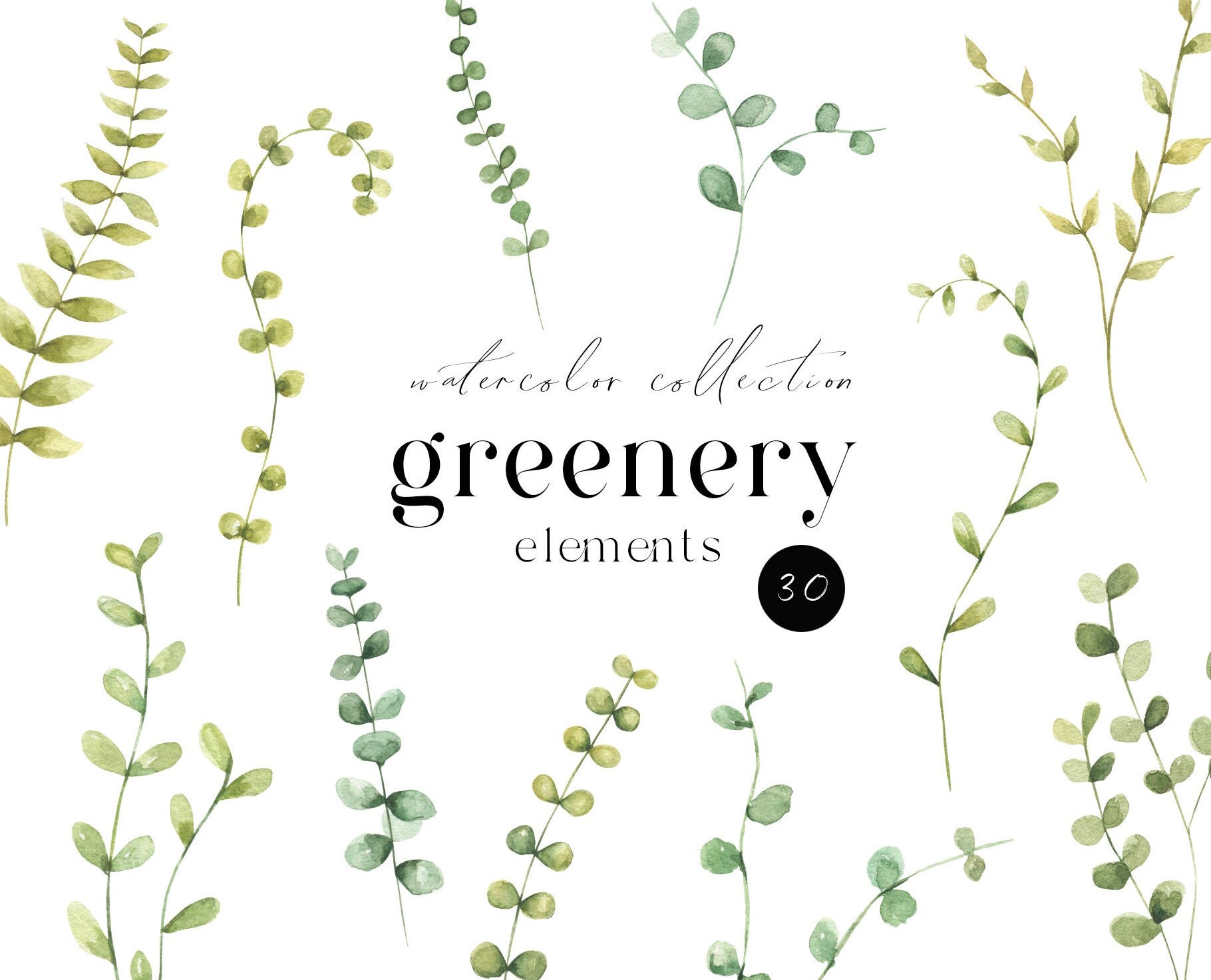 Greenery Clipart Watercolor Greenery Baby Shower Png Foliage - Etsy