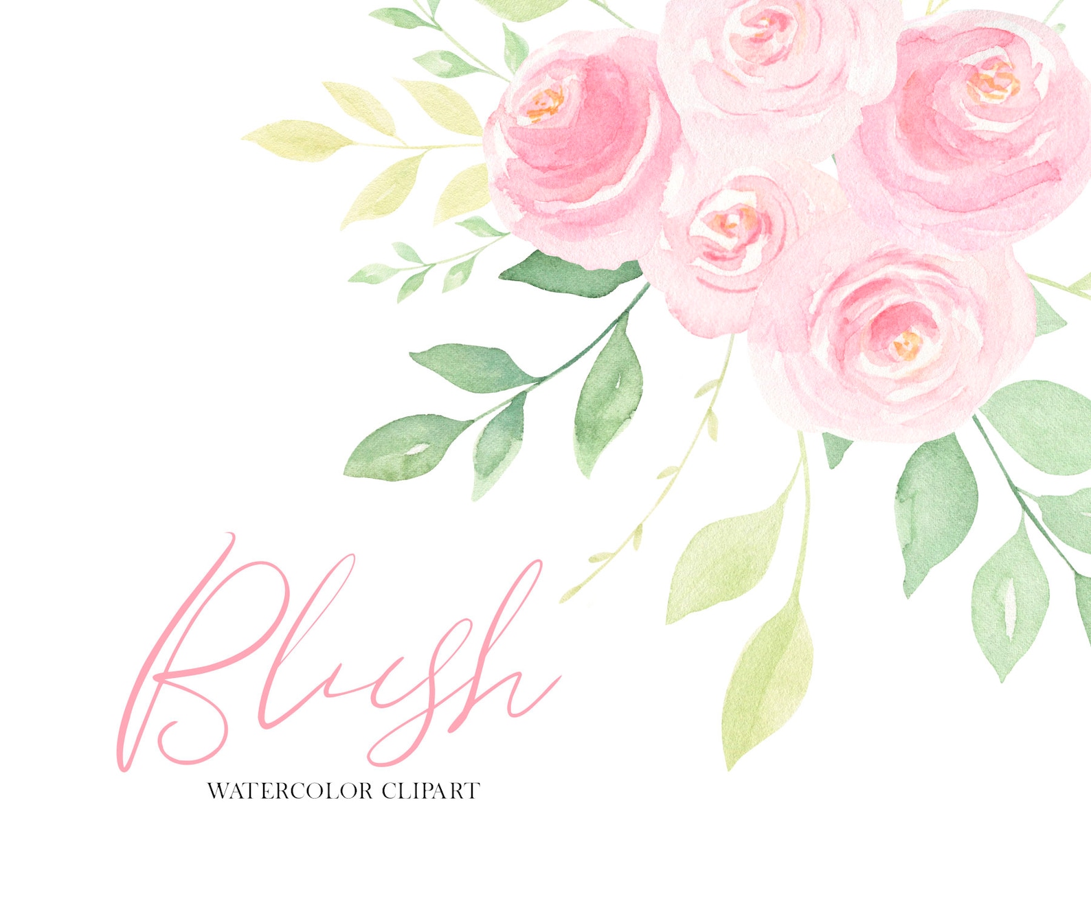 Pink Blush Roses Watercolor Floral Clipart, Watercolor Wedding Bouquets ...