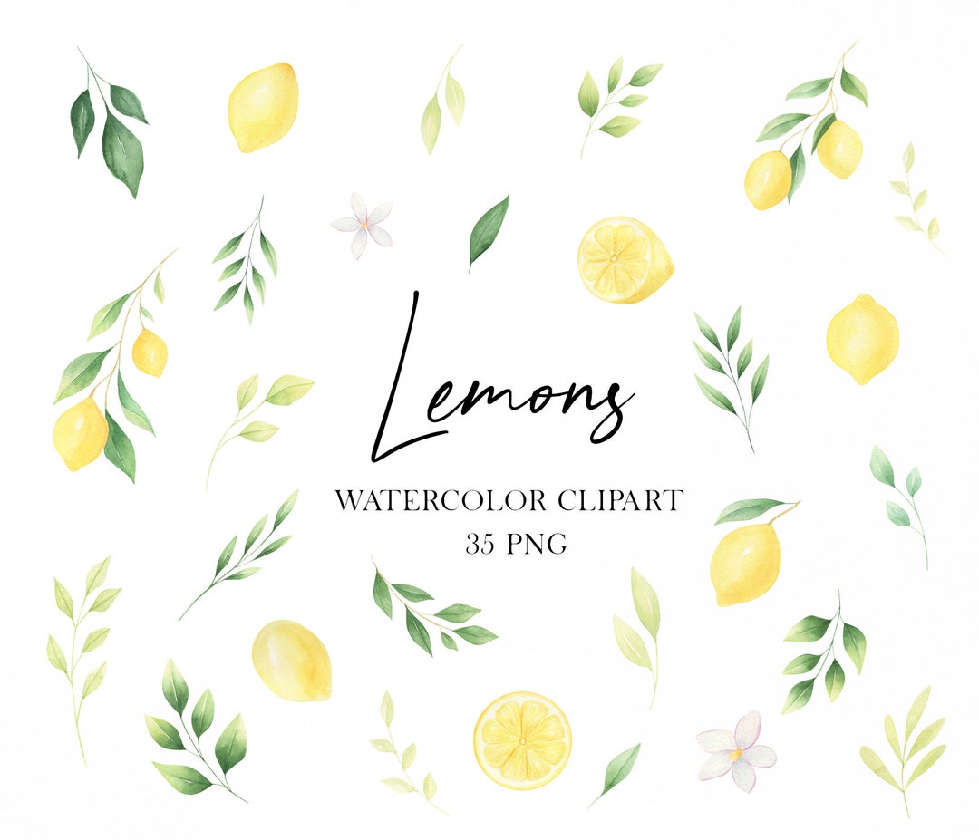 Watercolor Lemons Clipart, Summer Citrus Greenery Clipart Png, Lemon ...