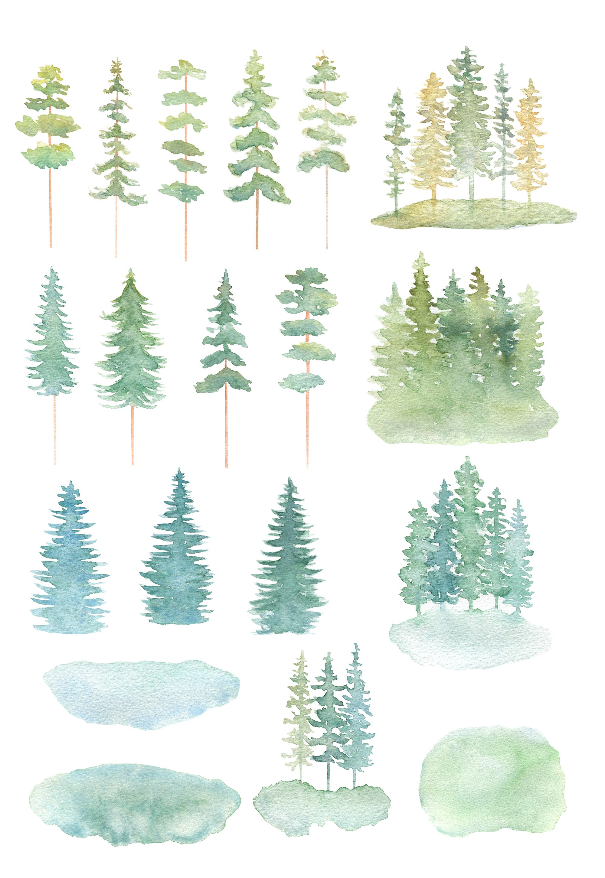 Forest Trees Watercolor Clipart Pine Trees Mountain - Etsy