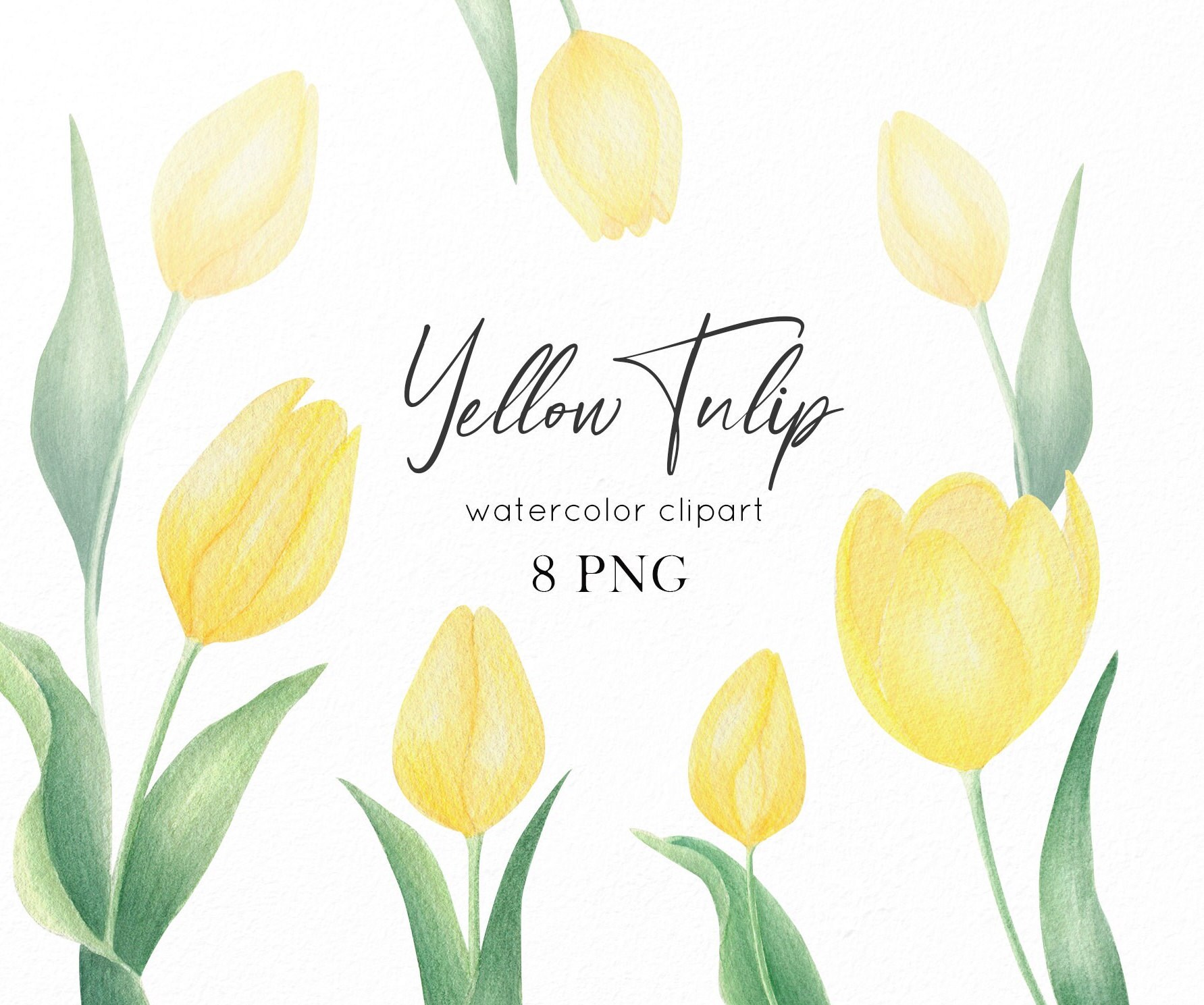 Watercolor Tulip Clip Art, Yellow Tulips Png, Spring Flowers Clipart ...