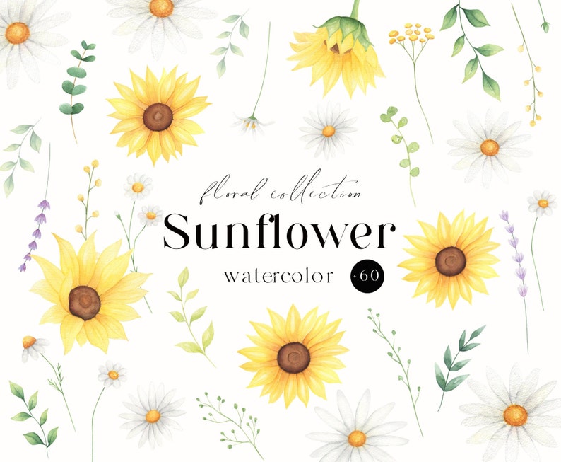 Sunflower Clipart Watercolor, Daisy Clipart Png, Sunflower Bouquet Png ...