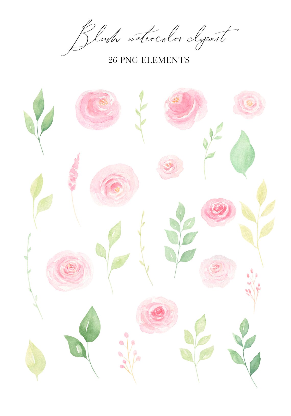 Pink Blush Roses Watercolor Floral Clipart Watercolor Wedding - Etsy