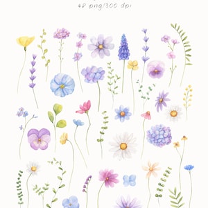 Wildflower Watercolor Clipart, Summer Meadow Clipart, Floral Digital ...