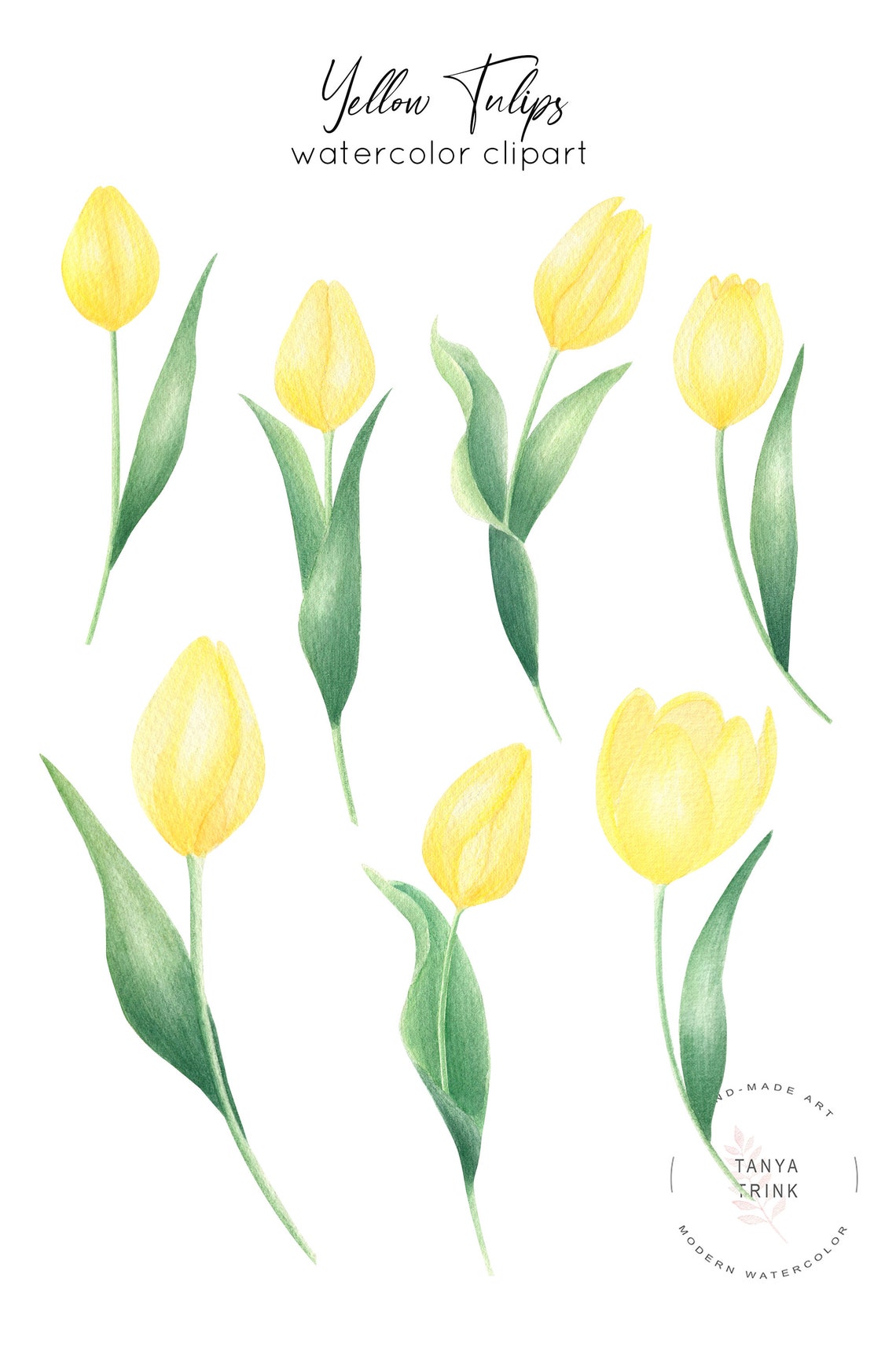 Watercolor Tulip Clip Art Yellow Tulips Png Spring Flowers - Etsy