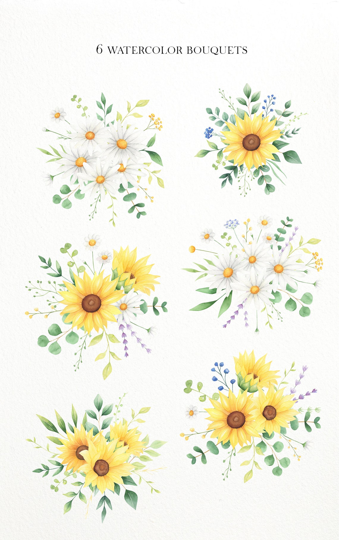 Sunflower Clipart Watercolor Daisy Clipart Png Sunflower - Etsy