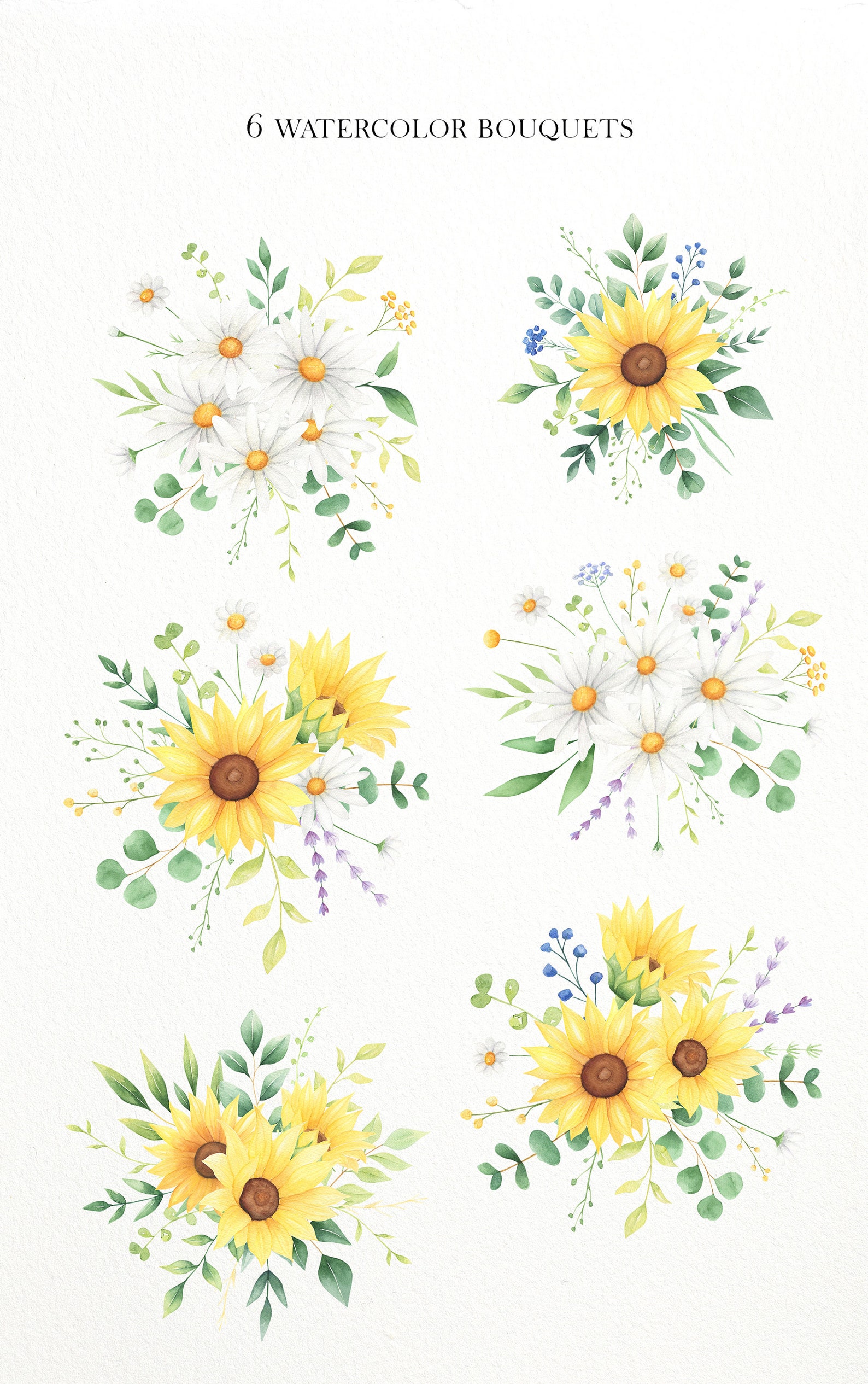 Sunflower Clipart Watercolor, Daisy Clipart Png, Sunflower Bouquet Png ...