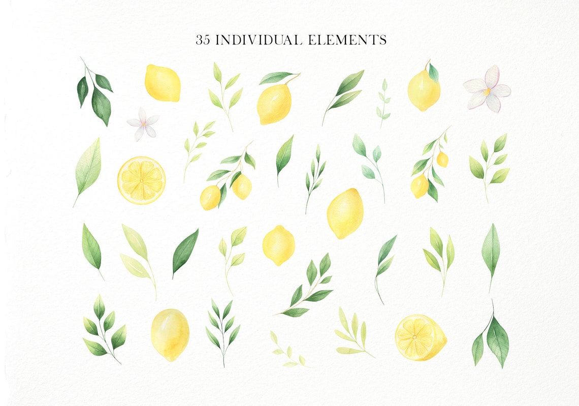 Watercolor Lemons Clipart Summer Citrus Greenery Clipart Png - Etsy