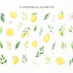 Watercolor Lemons Clipart, Summer Citrus Greenery Clipart Png, Wedding ...