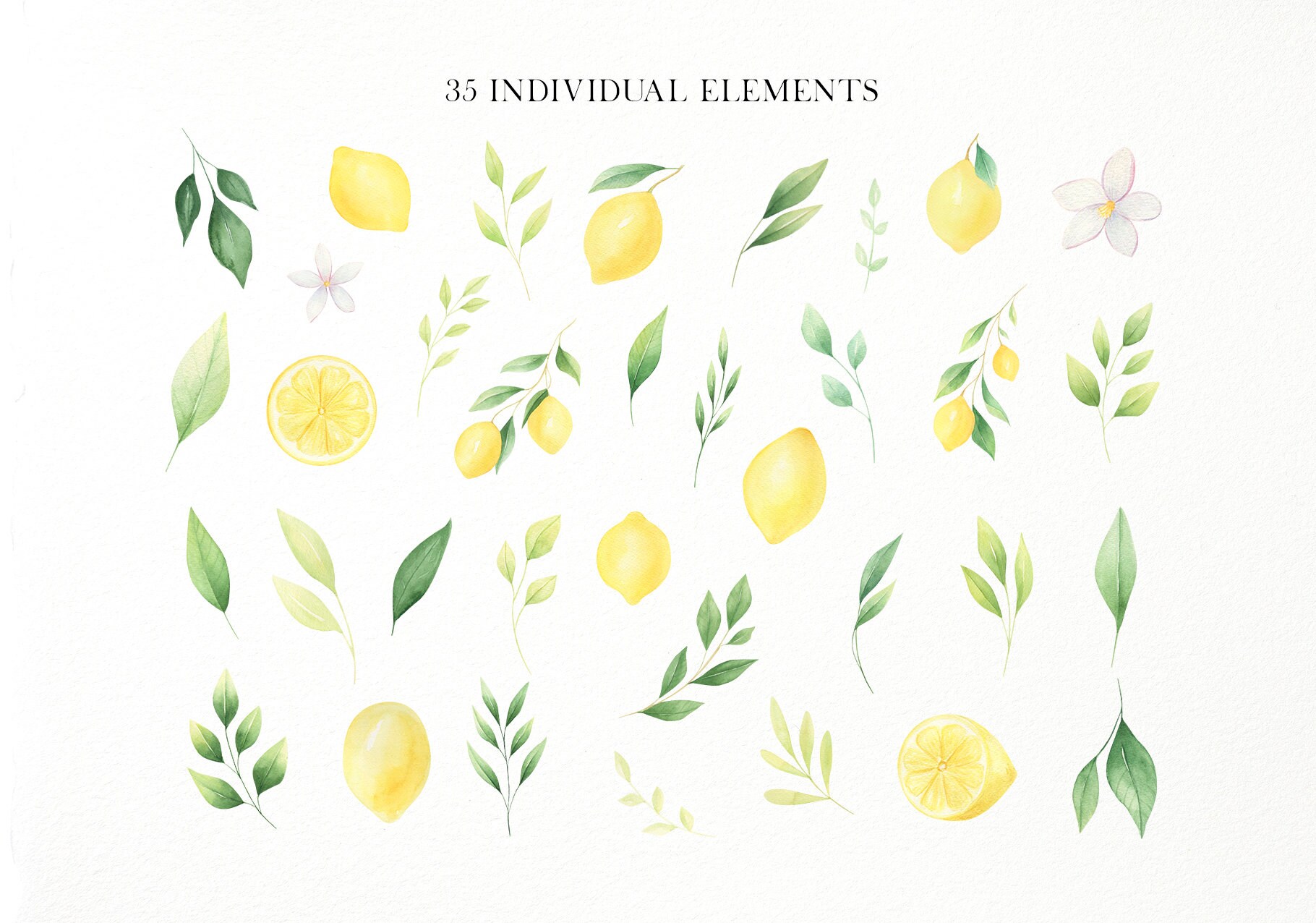 Watercolor Lemons Clipart Summer Citrus Greenery Clipart Png - Etsy