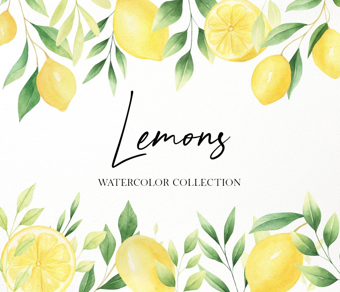 Watercolor Lemons Clipart Summer Citrus Greenery Clipart Png - Etsy