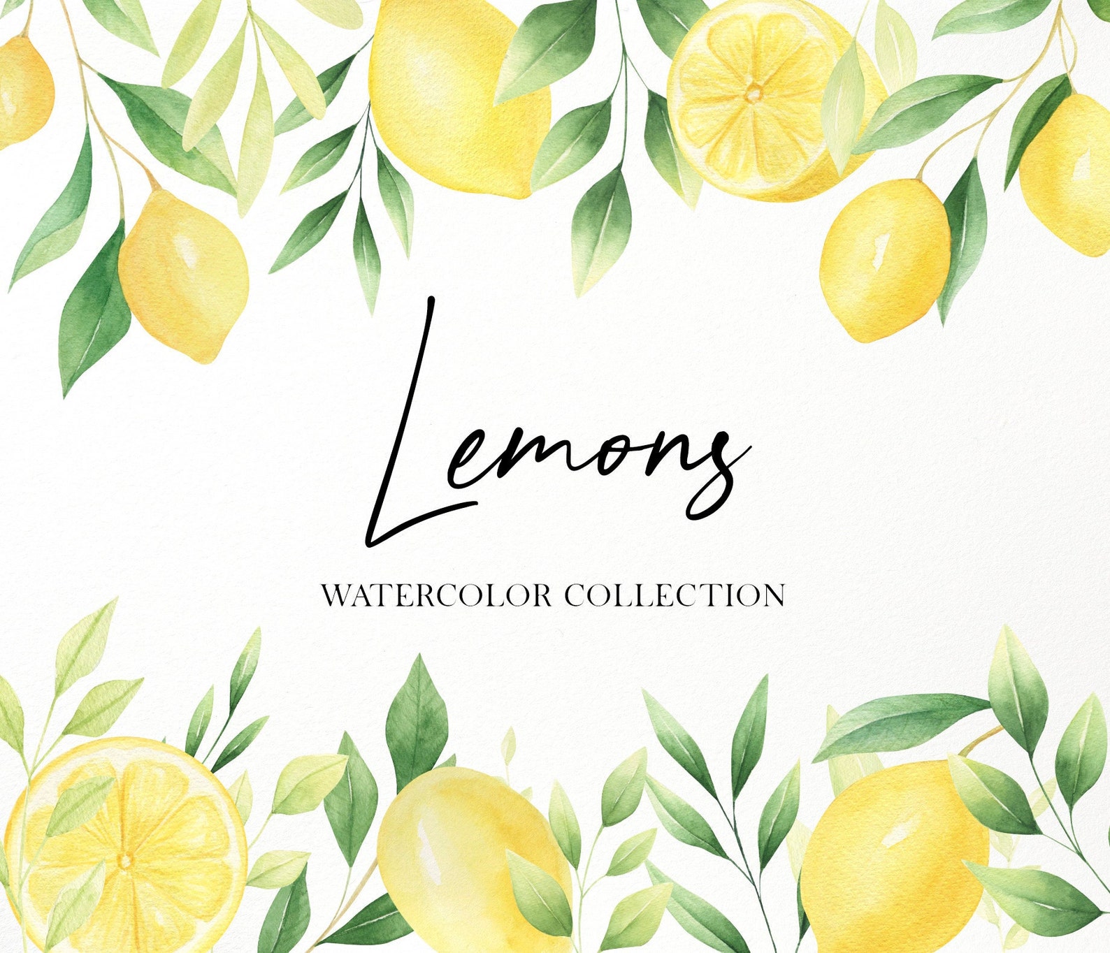 Watercolor Lemons Clipart Summer Citrus Greenery Clipart Png - Etsy