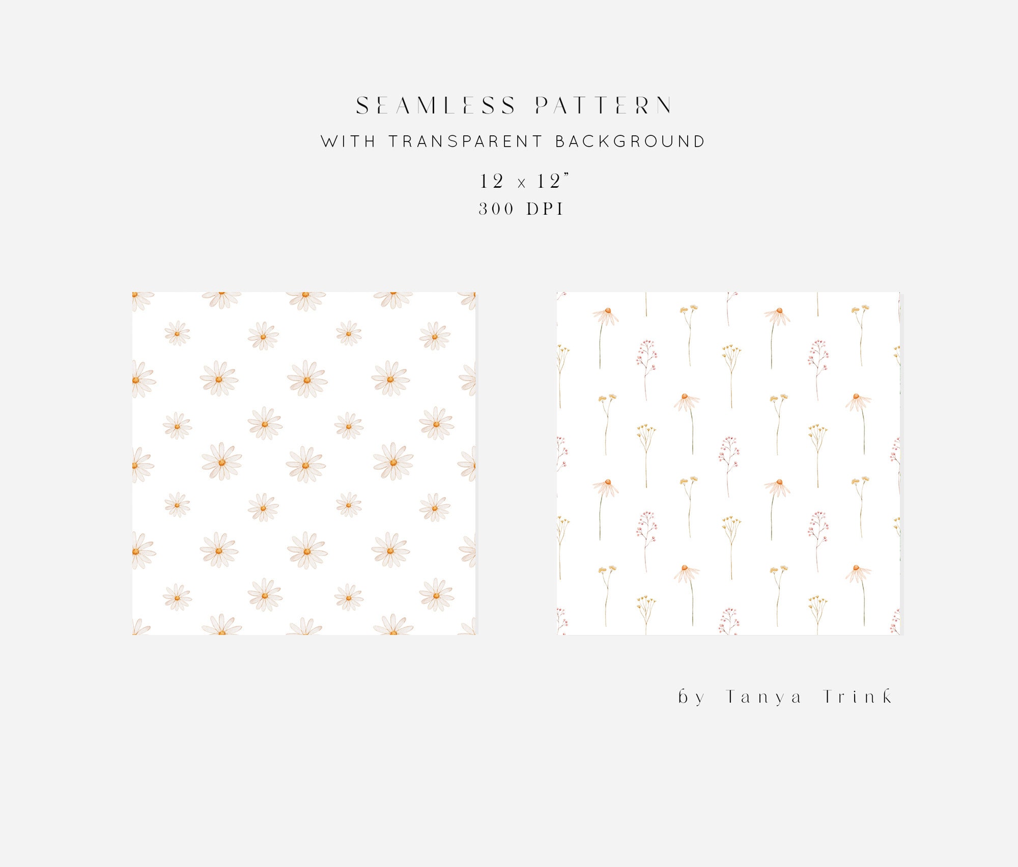 Daisy Floral Digital Paper Neutral Floral Seamless Pattern - Etsy