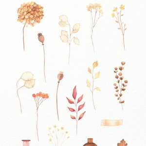 Fall Dried Flowers Boho Clipart, Autumn Floral Png, Boho Eucalyptus ...