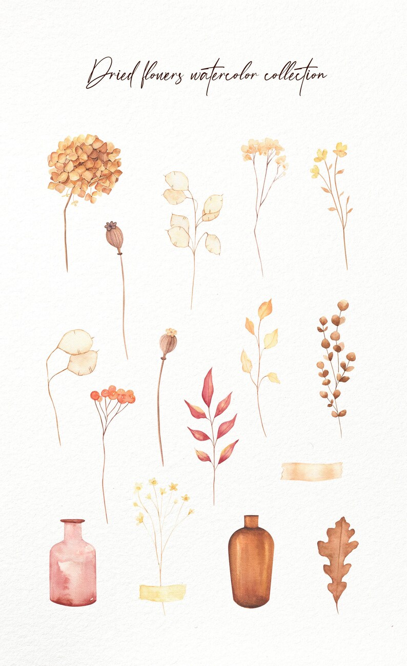 Fall Dried Flowers Boho Clipart Autumn Floral Png Boho - Etsy