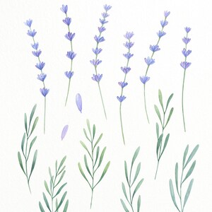 Lavender Watercolor Clipart, Lavender Floral Png, Rustic Wedding ...