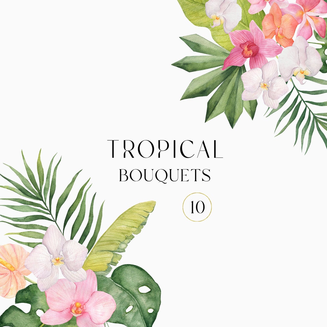 Tropical Watercolor Clipart, Tropical Bouquets Png, Tropical Floral ...