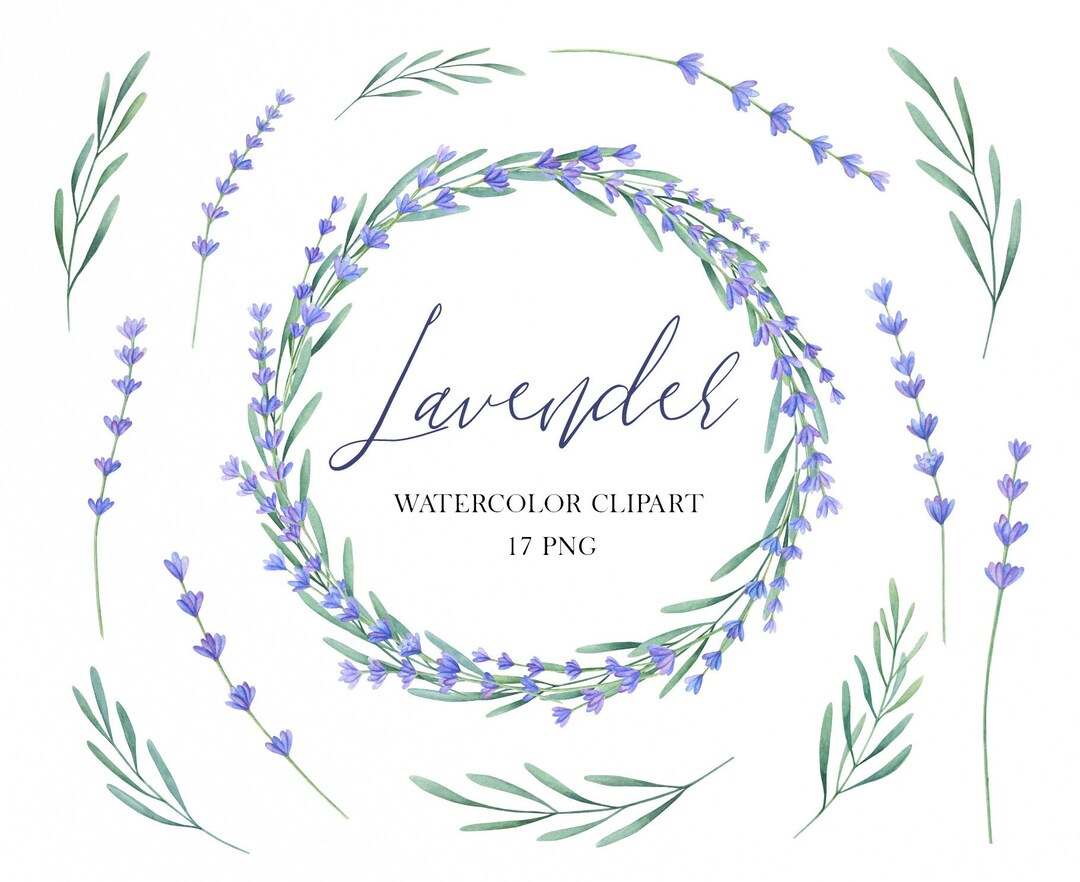 Lavender Watercolor Clipart, Lavender Floral Png, Rustic Wedding ...